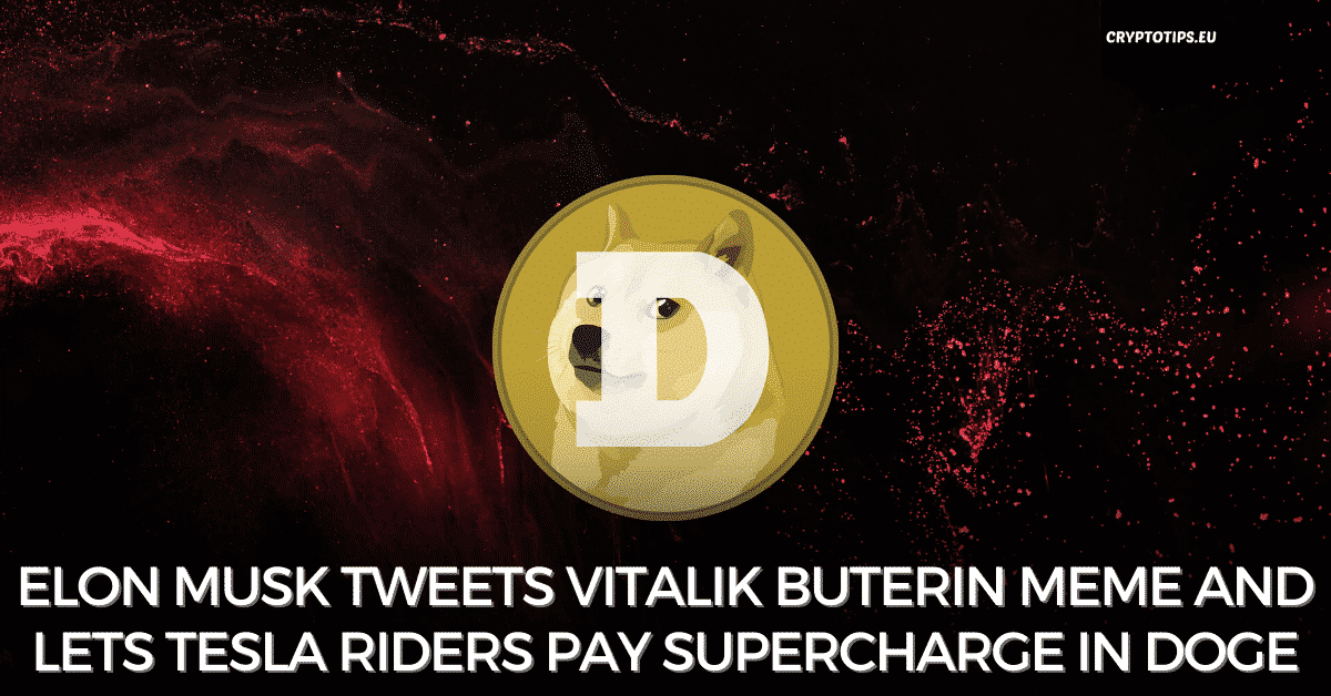 Elon Musk Tweets Vitalik Buterin Meme And Lets Tesla Riders Pay ...