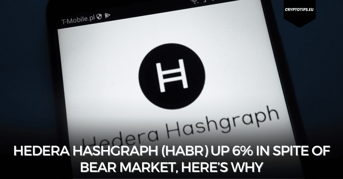 Hedera Hashgraph (HBAR) Up 6% In Spite of Bear Market, Here’s Why