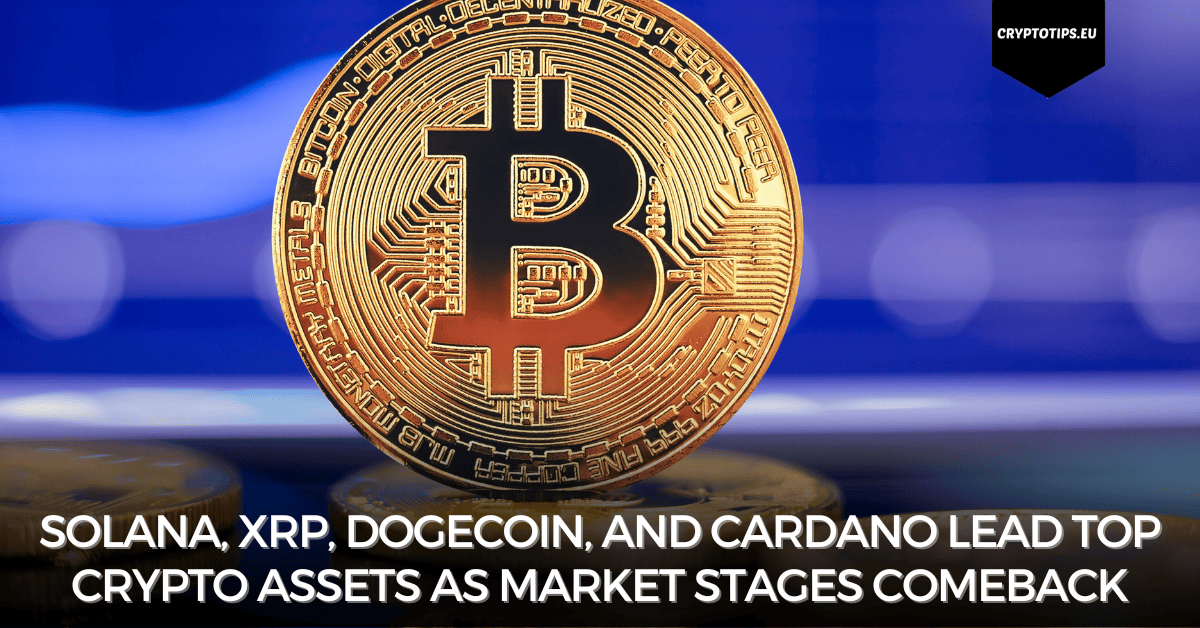 Solana, XRP, Dogecoin, and Cardano Lead Top Crypto Assets as Market Stages Comeback