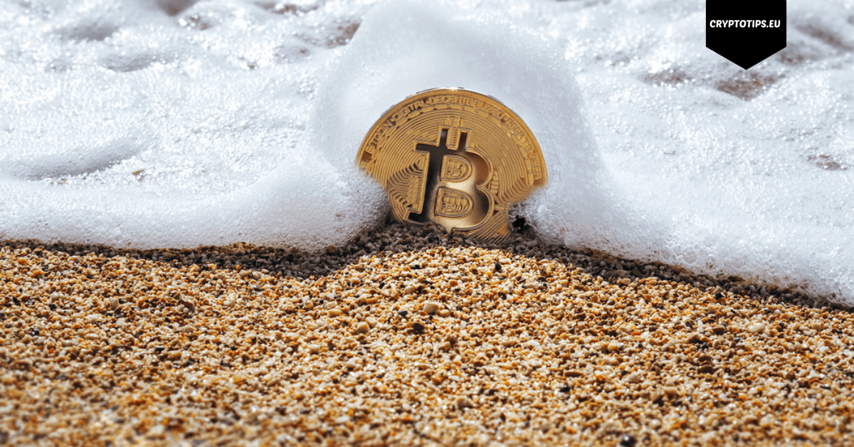 Pavel Durov, Elon Musk and Kim Dotcom: famous crypto fans are having a crap summer